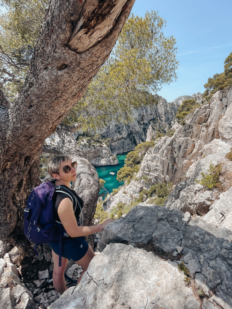 Calanques de Marseille : 3 idées rando accessibles avec un chien ...
