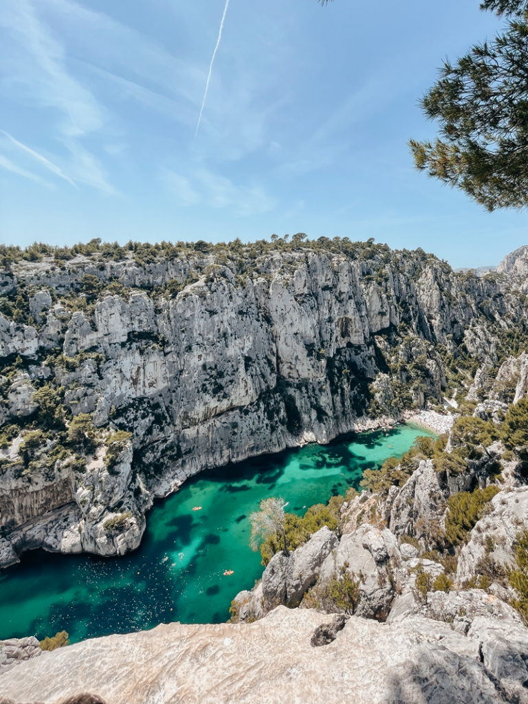 Calanques de Marseille : 3 idées rando accessibles avec un chien ...